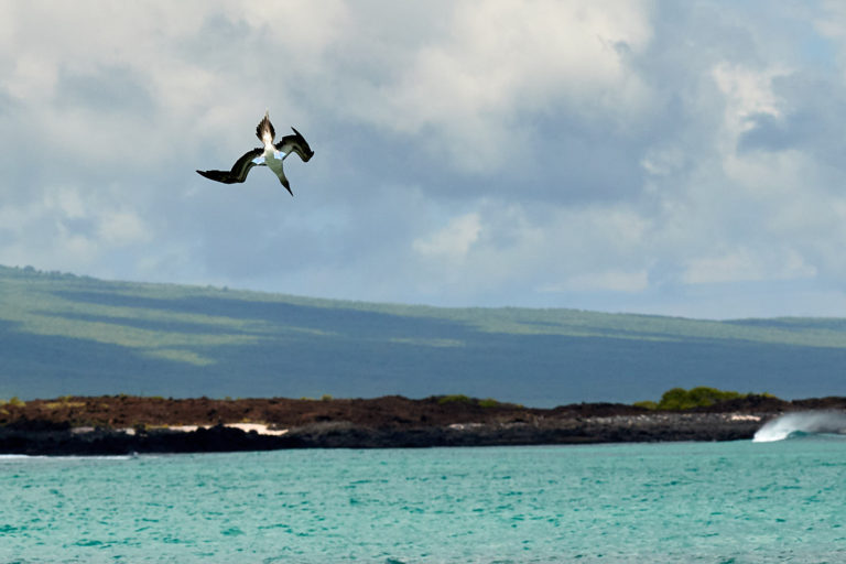 Biologist Around the World – Paws Trails Magazine | Wildlife | Nature ...