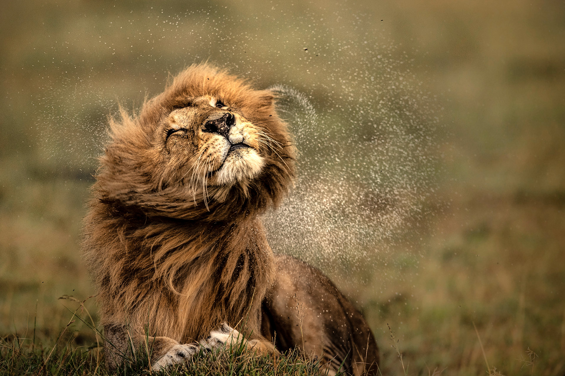 Angama Foundation – Conservation & Photography – Paws Trails Magazine ...
