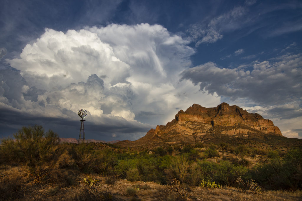 Tonto National Forest, Arizona, USA – Paws Trails Magazine | Wildlife ...