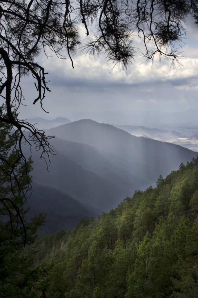 Tonto National Forest, Arizona, USA – Paws Trails Magazine | Wildlife ...