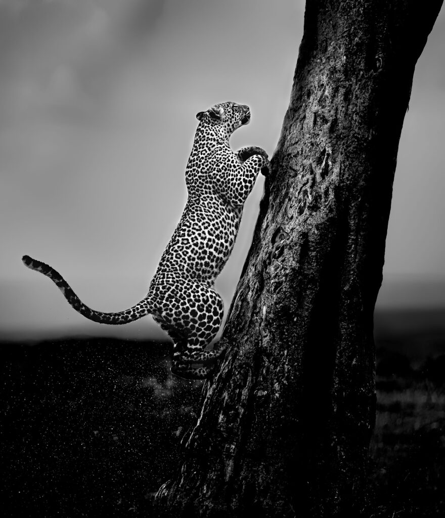 Into The WILD with Matthew Huntley & Dani Atanasova – Paws Trails ...